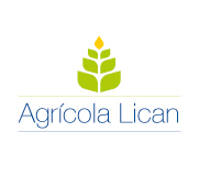 Grupo Lican